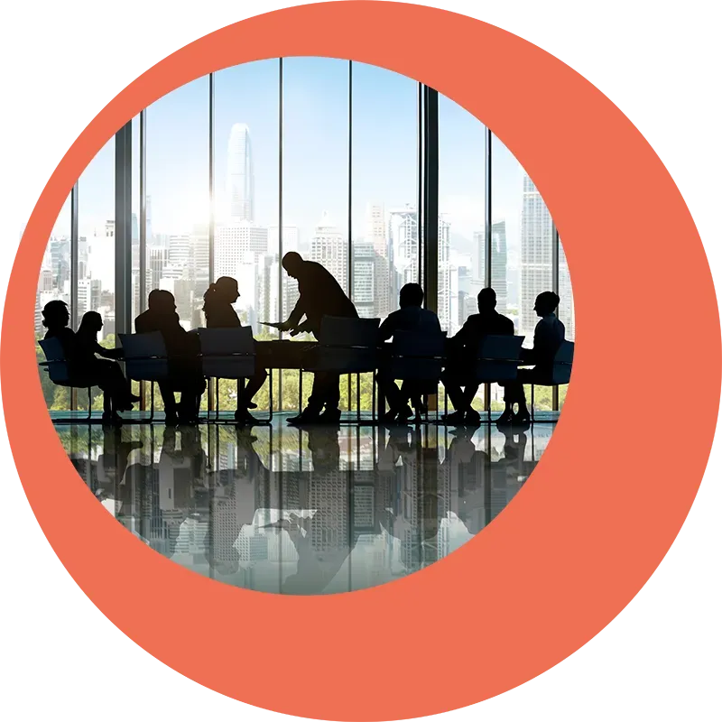 Center for Equity, Effectiveness and Efficiency in Local Government ...